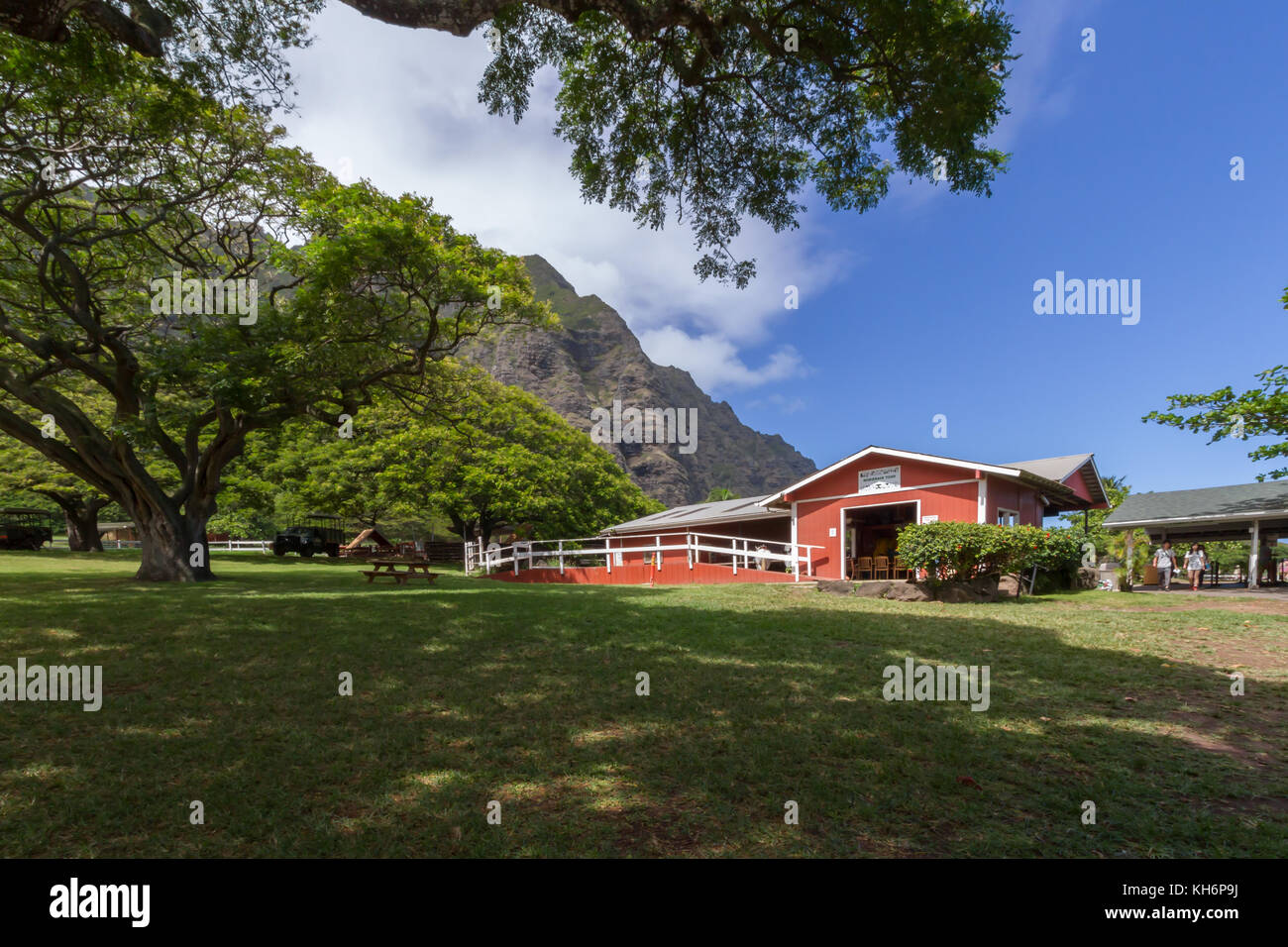 Kualoa Ranch and mountains on the Island of Oahu Stock Photo - Alamy