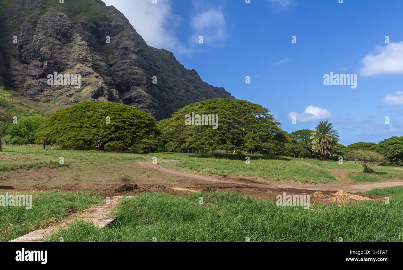 Kualoa Ranch and mountains on the Island of Oahu Stock Photo - Alamy