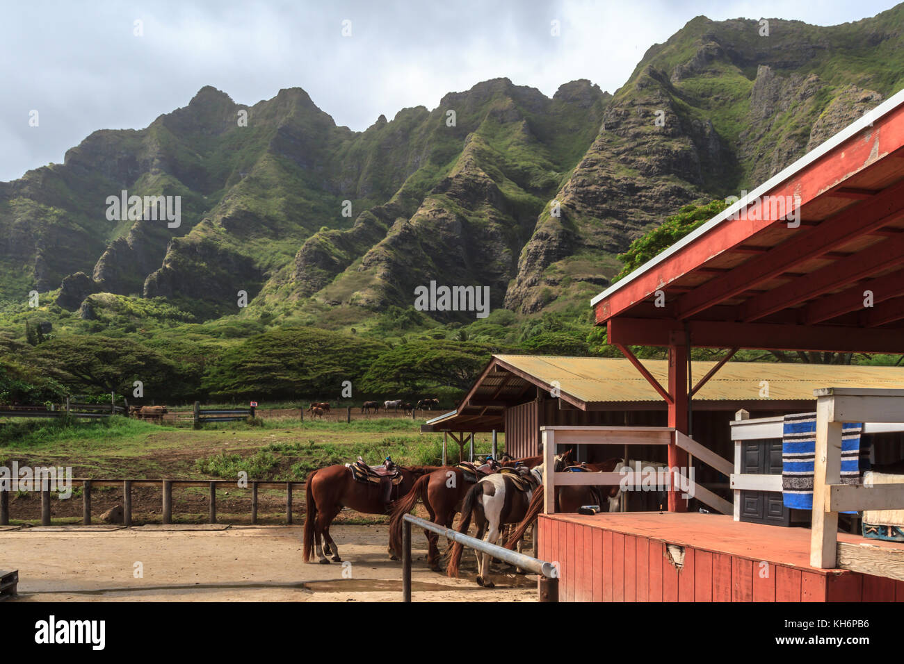 Kualoa Ranch and mountains on the Island of Oahu Stock Photo - Alamy