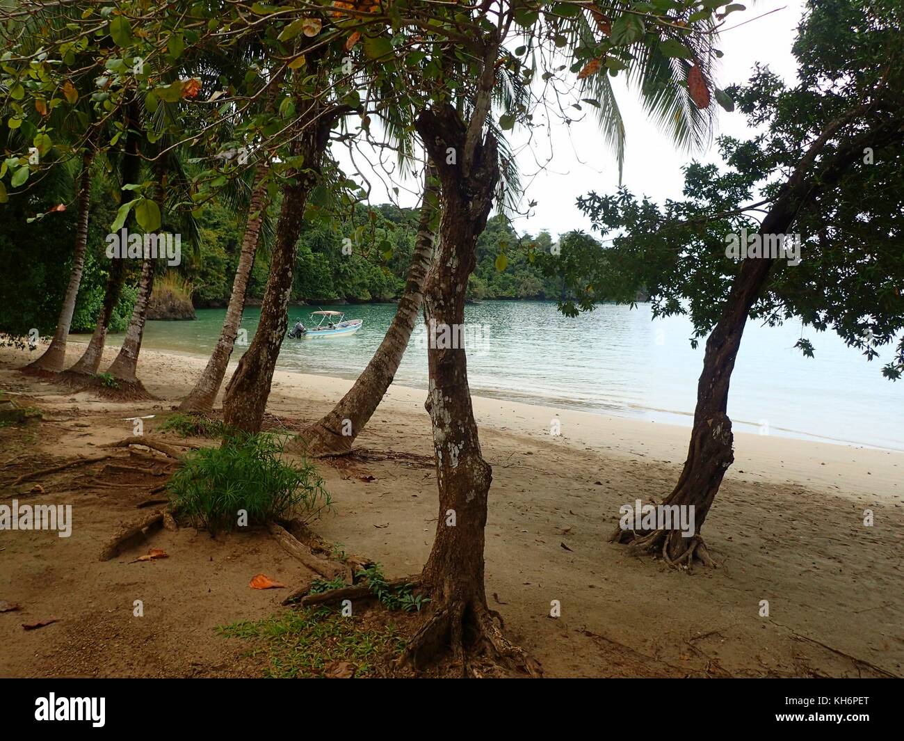 Parque Nacional de Isla Coiba, Panama Stock Photo - Alamy