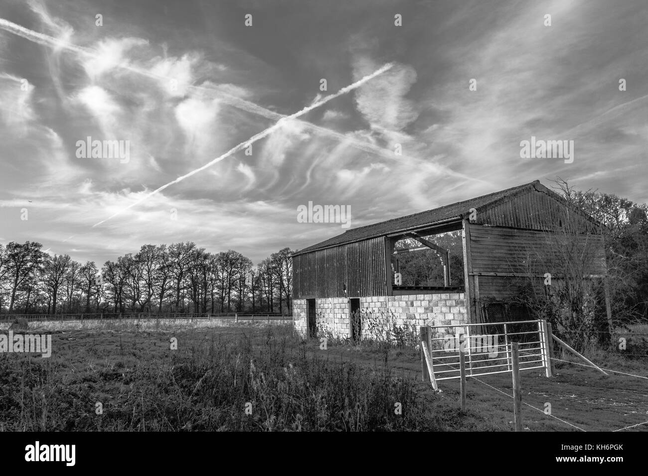 Barn grass hi-res stock photography and images - Alamy