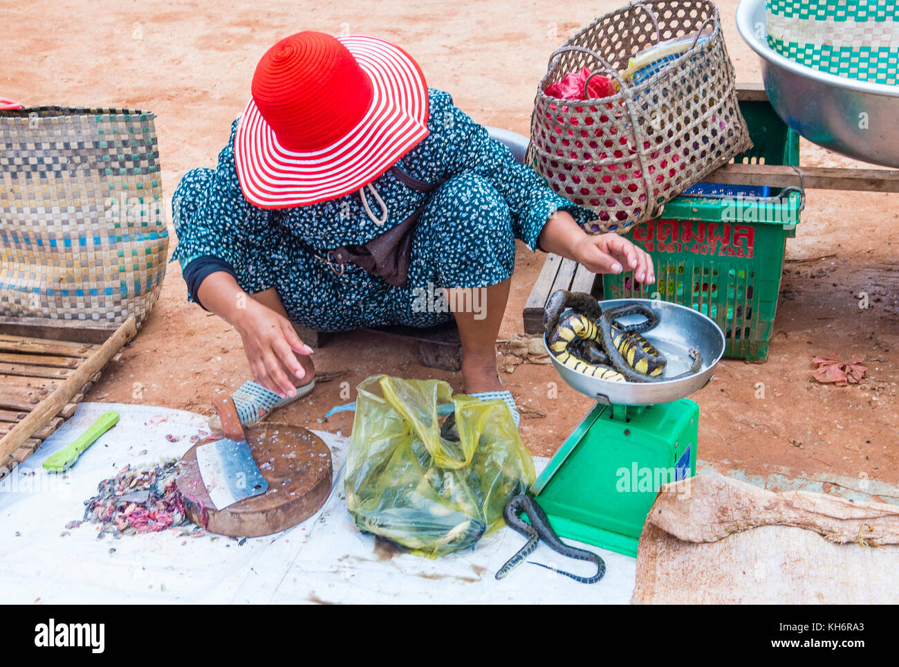Cambodian woman selling snakes in a market in Siem Reap Cambodia Stock ...
