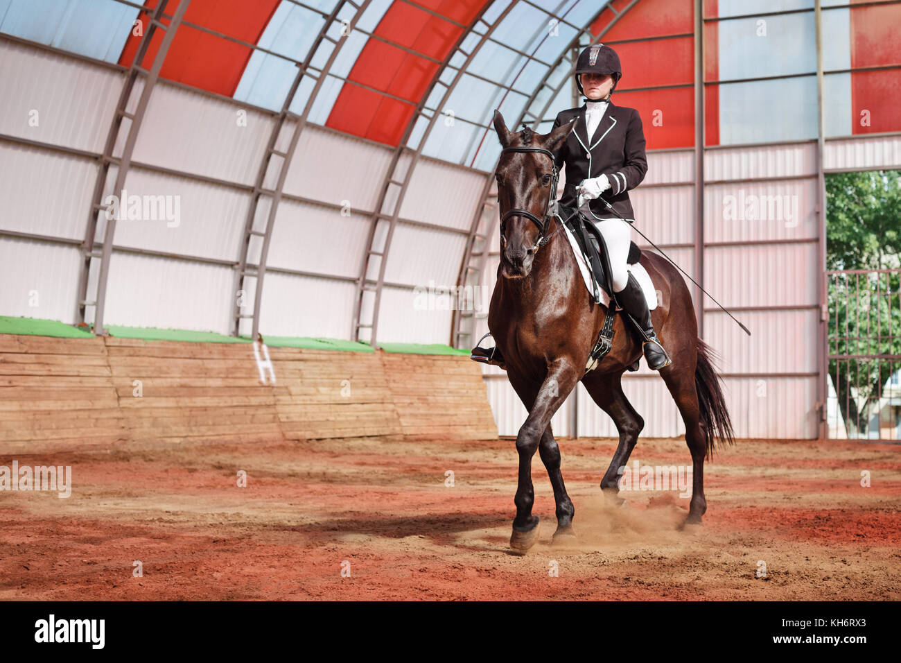 A sweet girl jockey rides a horse in a covered arena. Workout ...