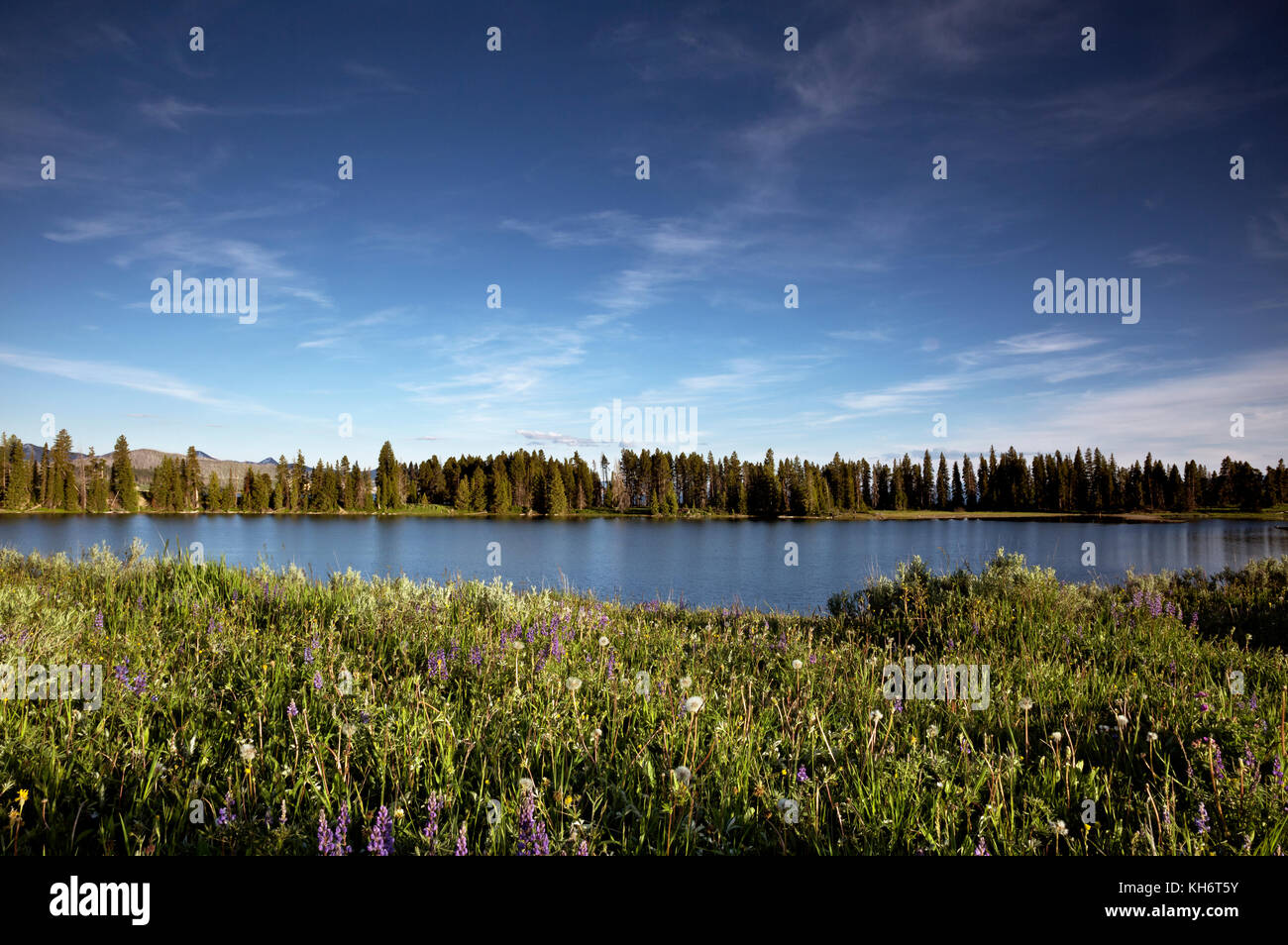 Indian pond and yellowstone hi-res stock photography and images - Alamy