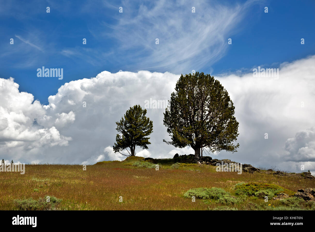 Storm point yellowstone yellowstone hi-res stock photography and images ...