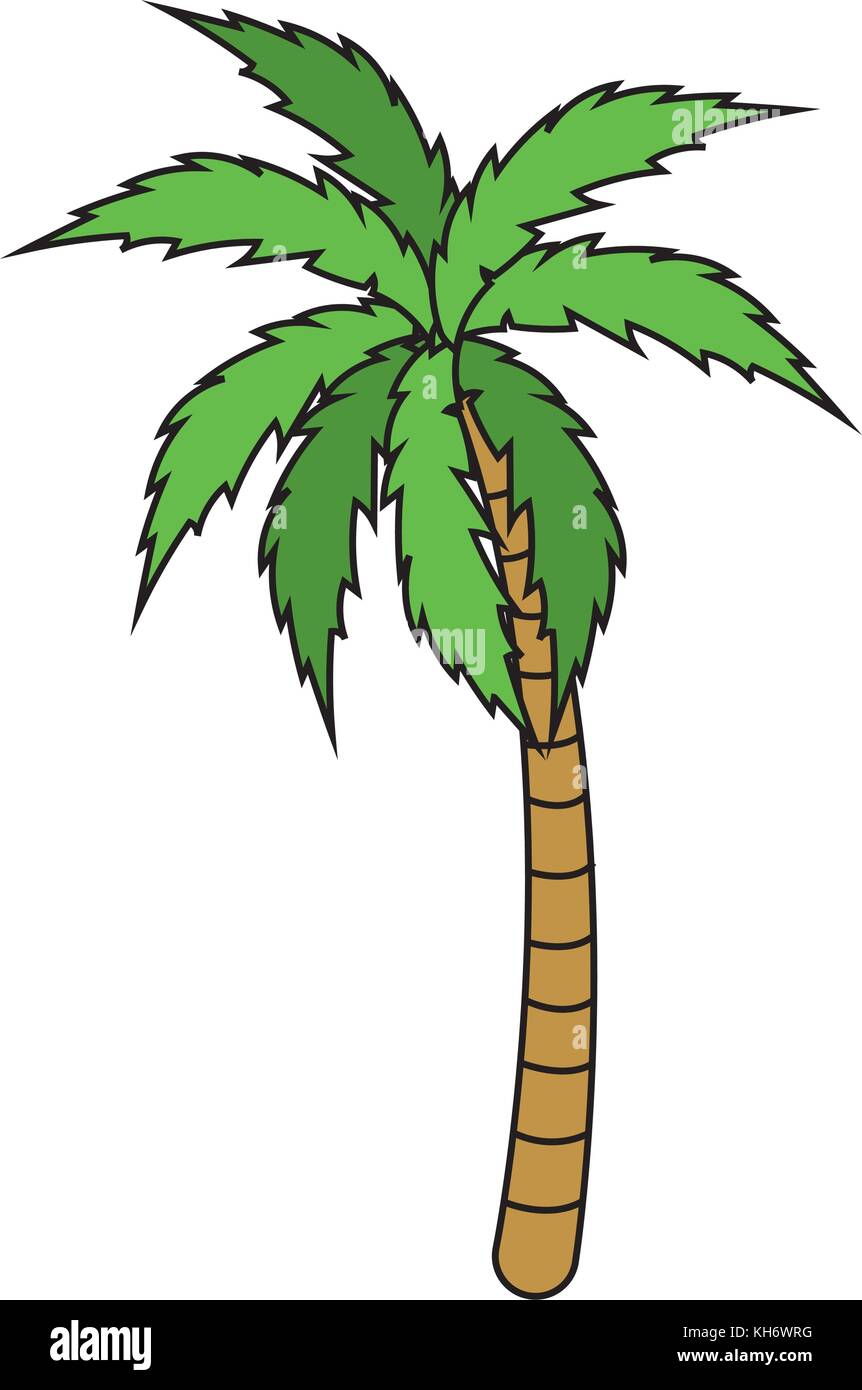 Palm tree of nature plant and summer theme Isolated design Vector ...