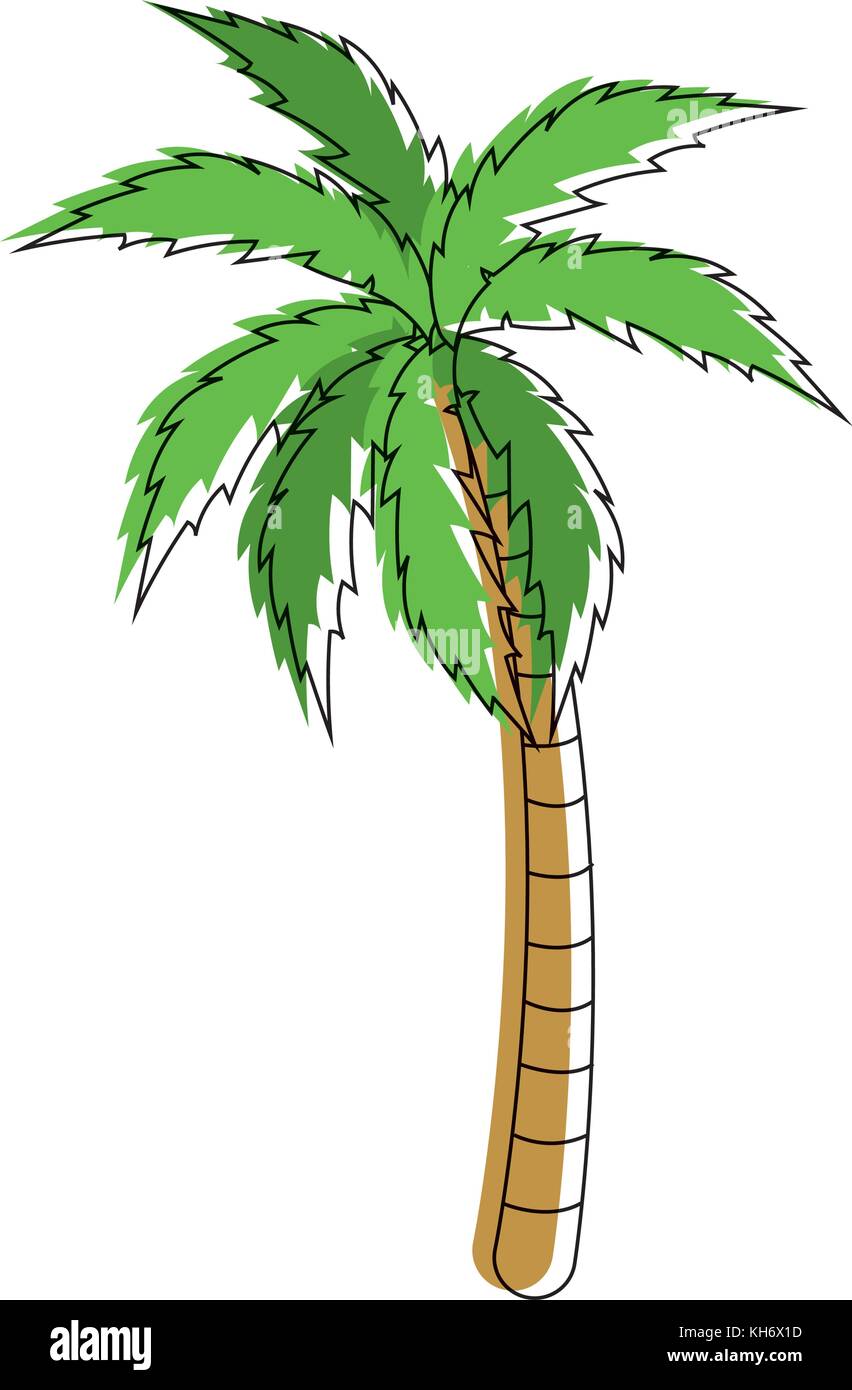 Palm tree of nature plant and summer theme Isolated design Vector ...