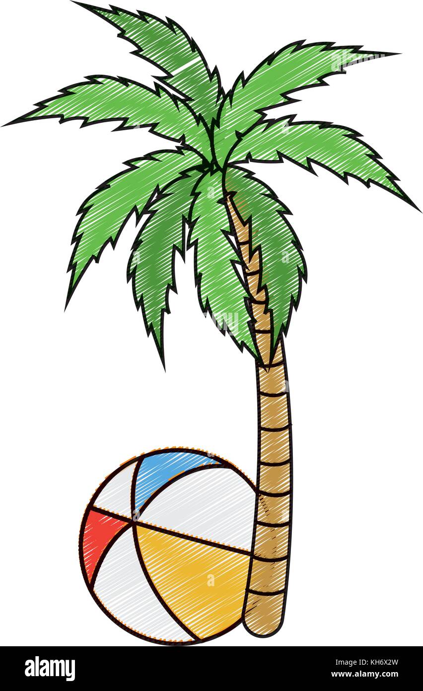 Palm tree of nature plant and summer theme Isolated design Vector ...