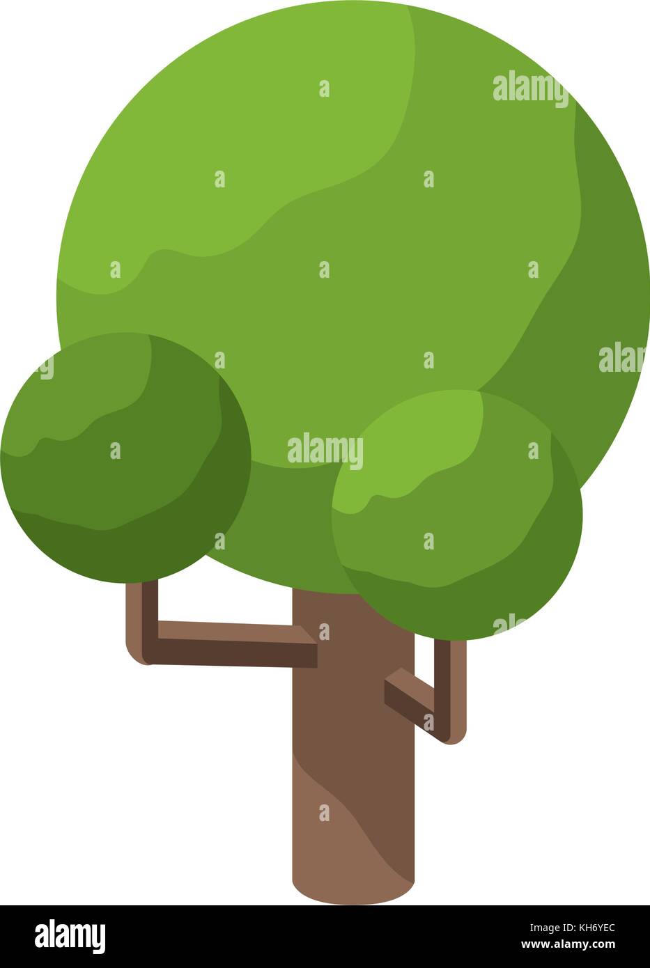 Isolated tree design Stock Vector Image & Art - Alamy