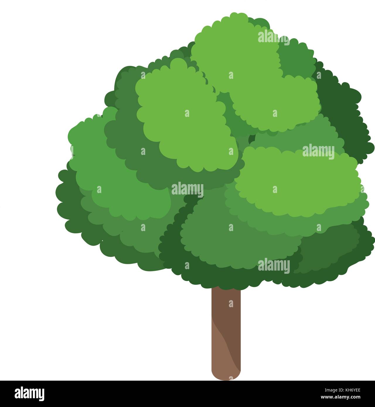 Isolated tree design Stock Vector Image & Art - Alamy