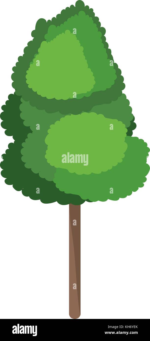 Isolated tree design Stock Vector Image & Art - Alamy