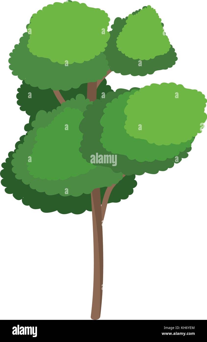Isolated tree design Stock Vector Image & Art - Alamy