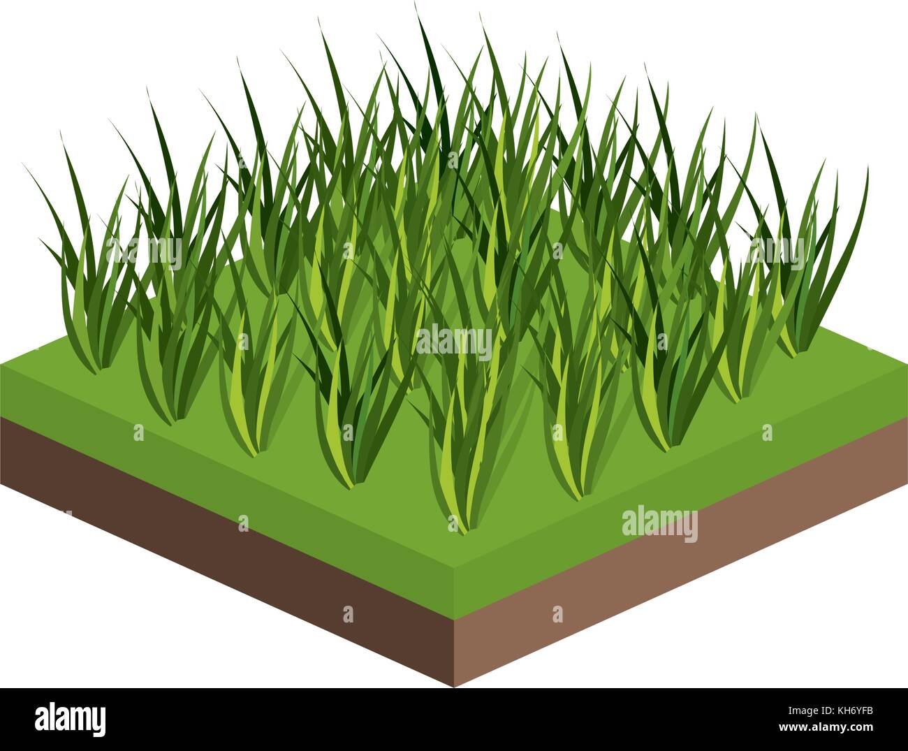 Isometric grass design Stock Vector Image & Art - Alamy