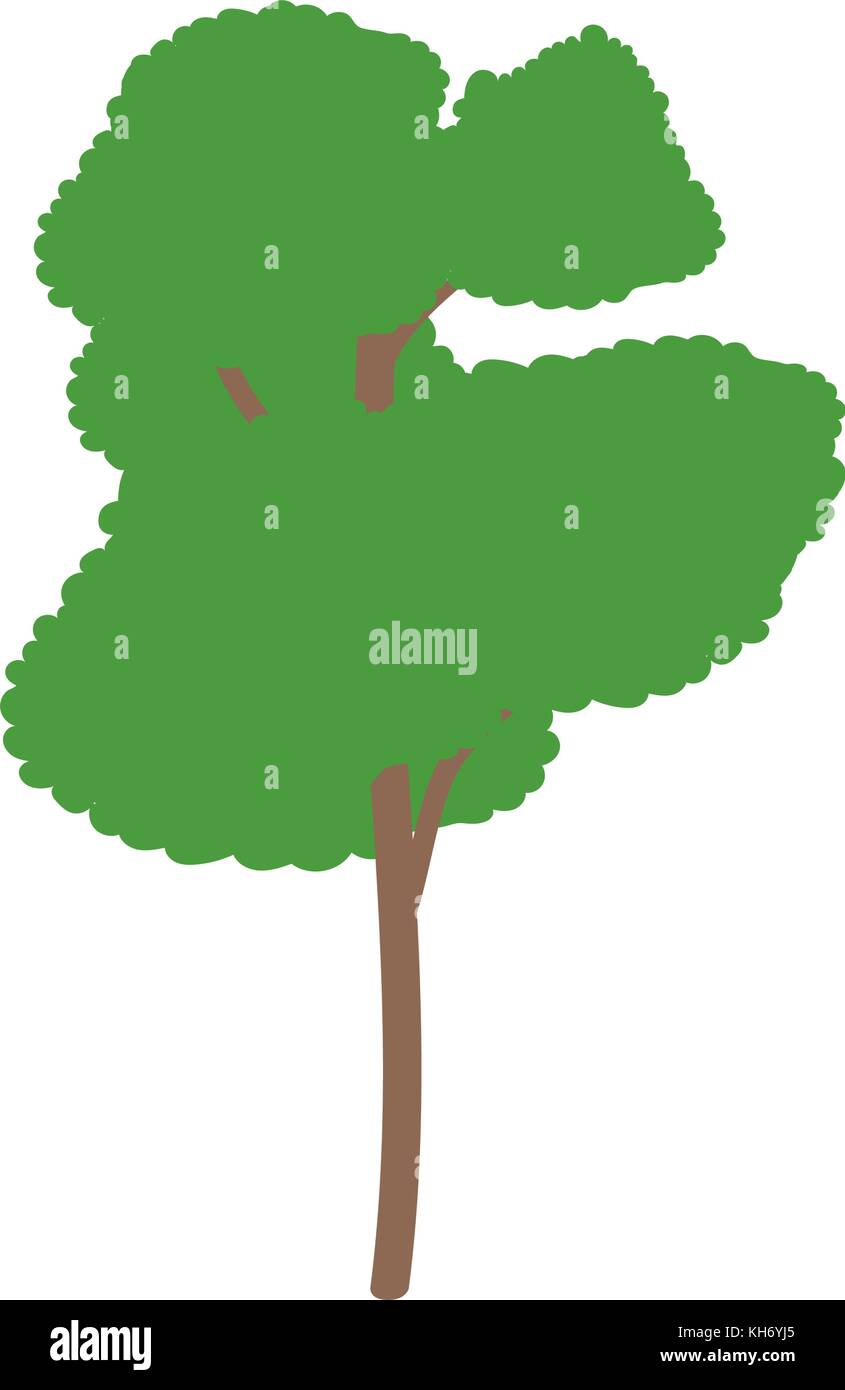 Isolated tree design Stock Vector Image & Art - Alamy