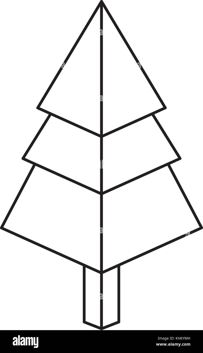 Isometric pine tree design Stock Vector Image & Art - Alamy