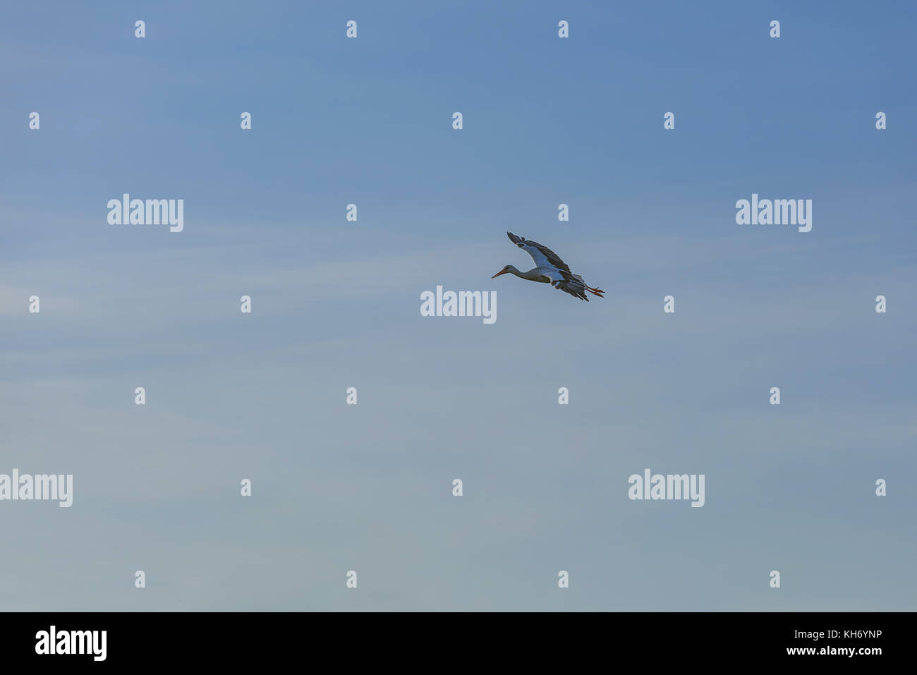 Straight into the sky hi-res stock photography and images - Alamy