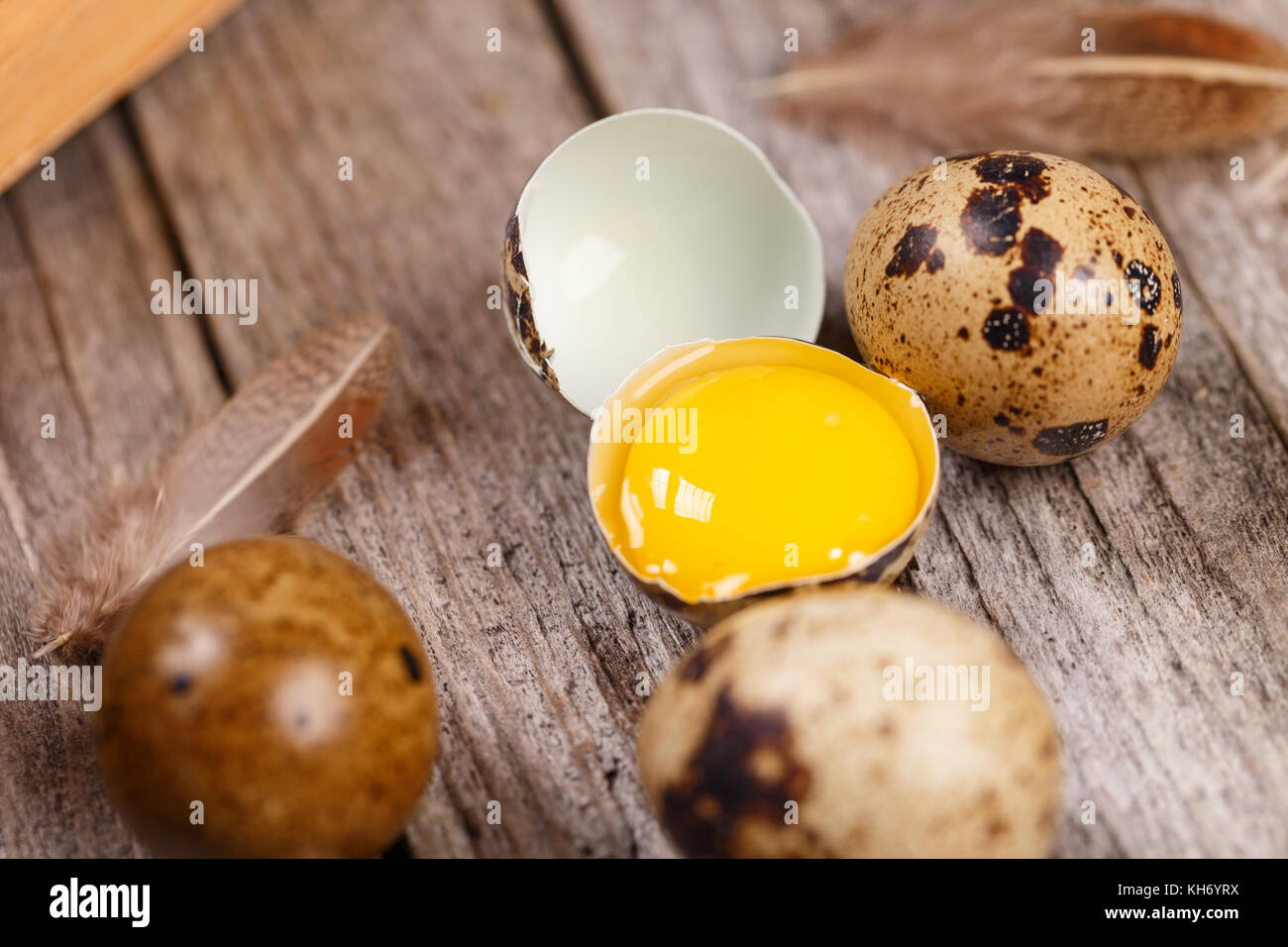 Close up of raw quail eggs on a rustic wooden table Stock Photo - Alamy