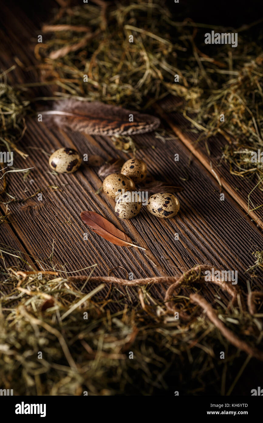 Fresh raw egg on hi-res stock photography and images - Alamy