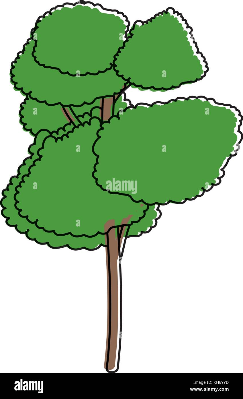 Isolated tree design Stock Vector Image & Art - Alamy