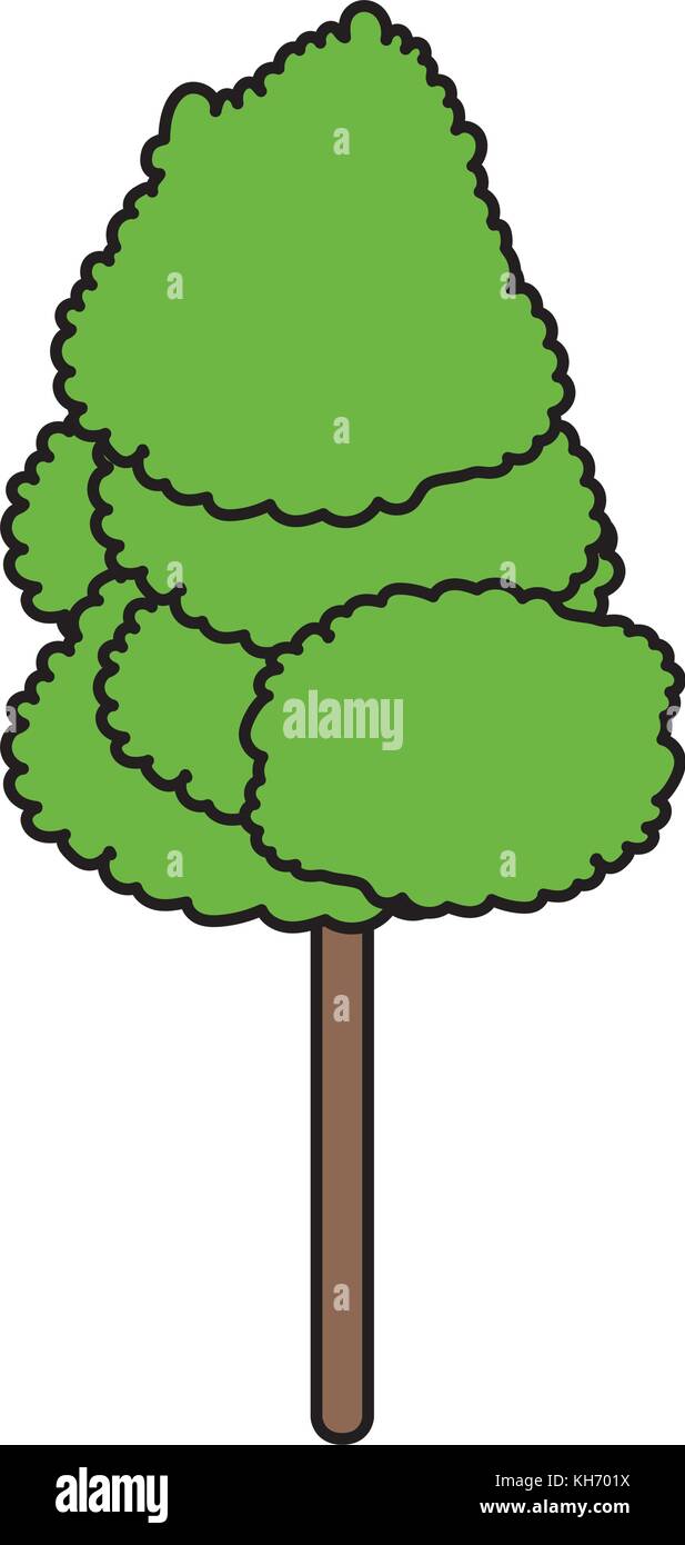 Isolated tree design Stock Vector Image & Art - Alamy