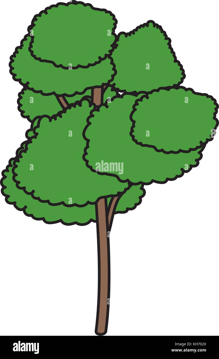 Isolated tree design Stock Vector Image & Art - Alamy