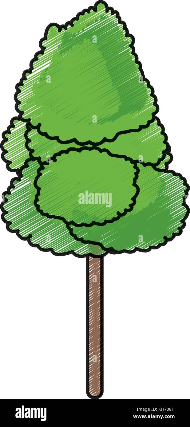 Isolated tree design Stock Vector Image & Art - Alamy