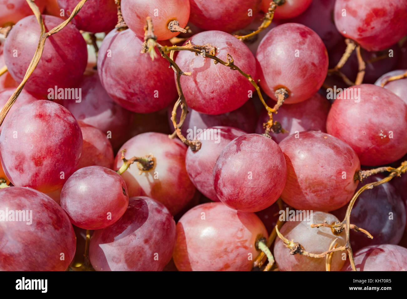 Rose grapes background Stock Photo - Alamy