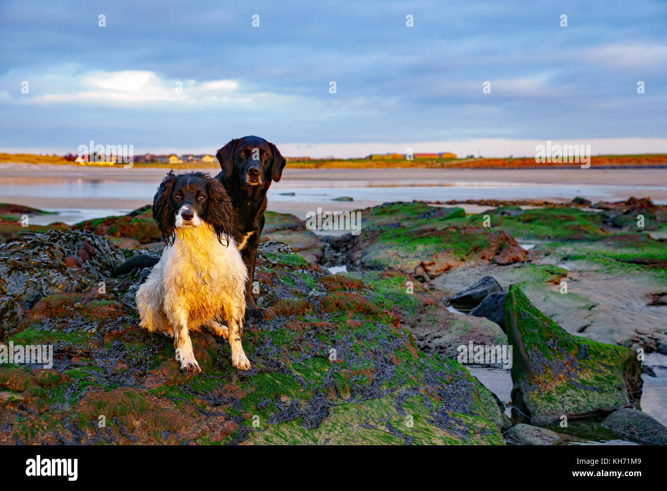 Waiting to go Stock Photo - Alamy