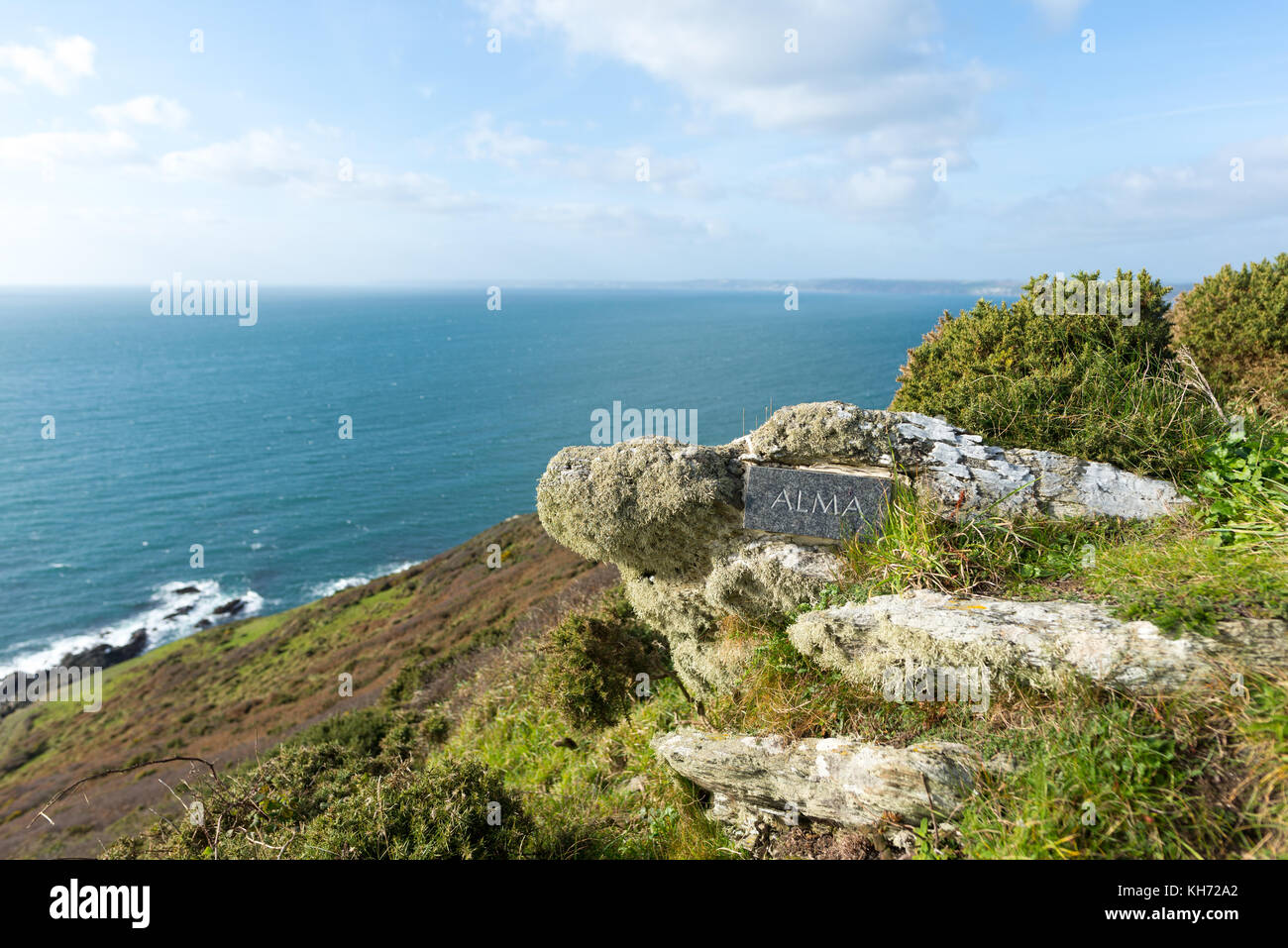 Rame head hi-res stock photography and images - Alamy