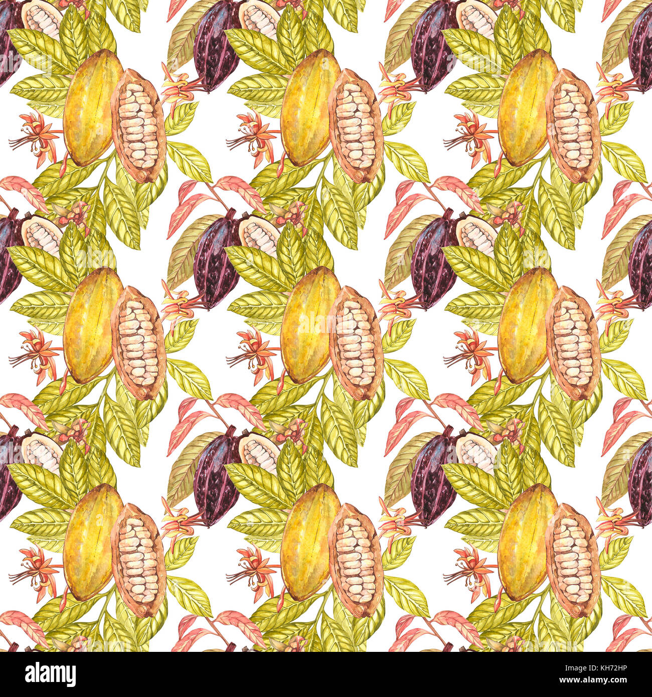 Cacao beans vintage seamless pattern. Cacao Watercolor botanical ...