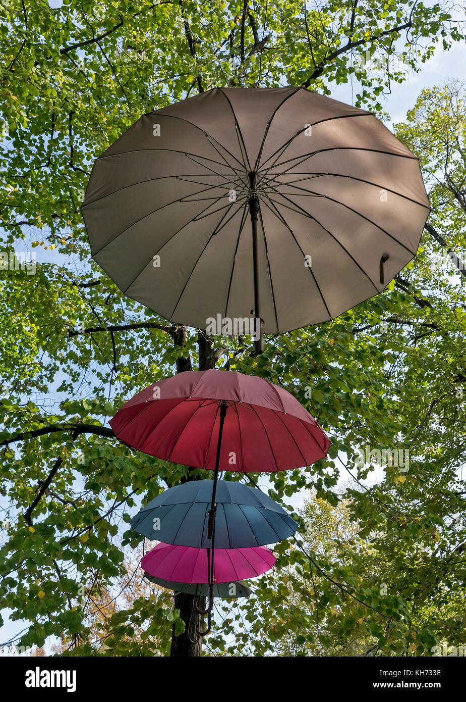 Umbrellas hanging on trees over a pedestrian zone Stock Photo - Alamy