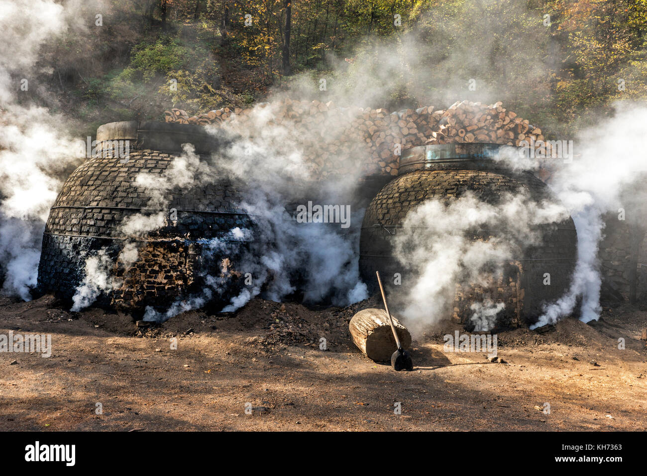 The production of charcoal in a traditional manner in the forest Stock ...