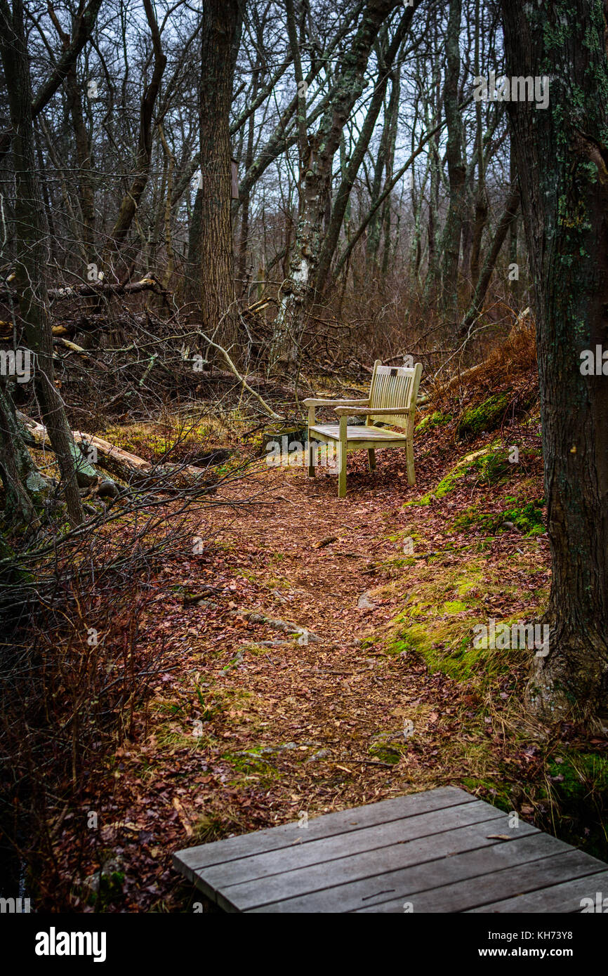 Bench in the woods Stock Photo - Alamy