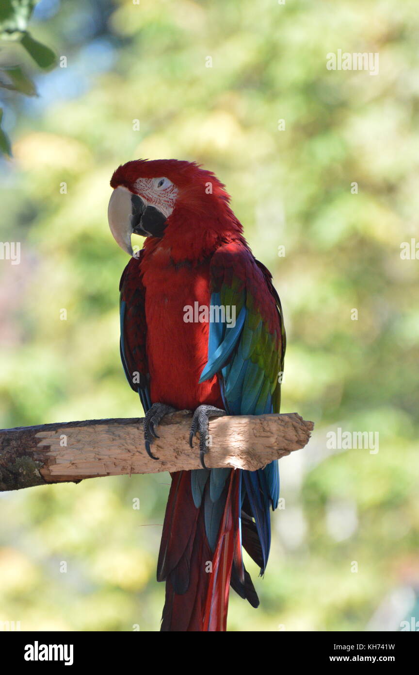 Perfunctory hi-res stock photography and images - Alamy