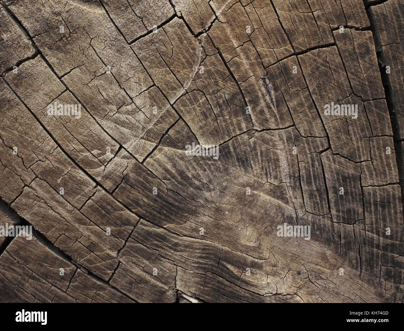 Transverse and longitudinal hi-res stock photography and images - Alamy