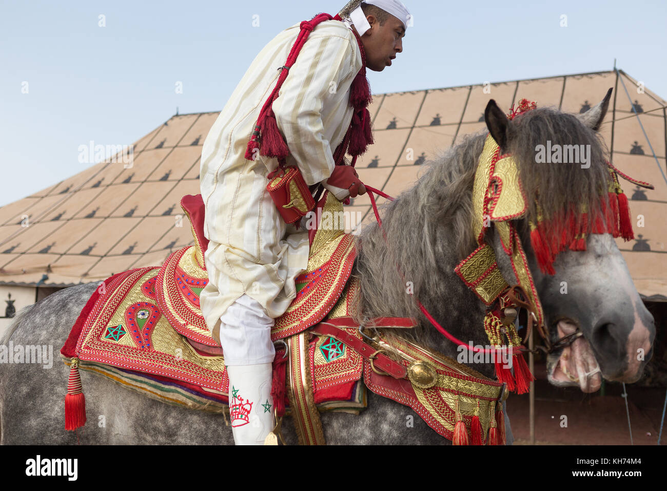 Fantasia is a traditional exhibition of horsemanship in the Maghreb ...