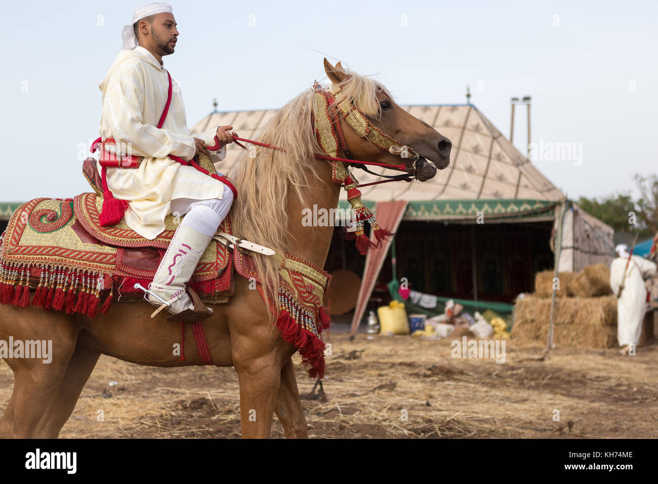 Fantasia is a traditional exhibition of horsemanship in the Maghreb ...