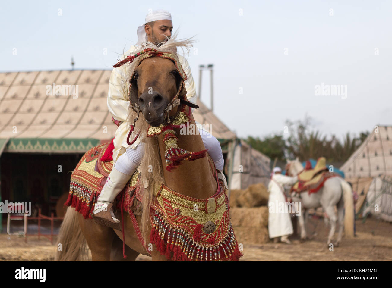 Fantasia is a traditional exhibition of horsemanship in the Maghreb ...
