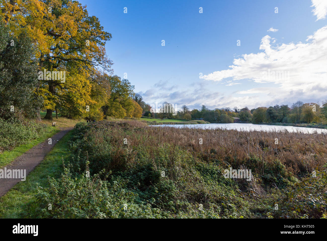 Abbey Fields High Resolution Stock Photography and Images - Alamy