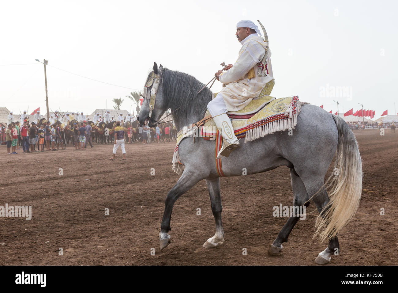 Fantasia is a traditional exhibition of horsemanship in the Maghreb ...