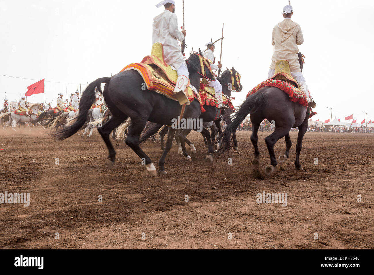 Fantasia is a traditional exhibition of horsemanship in the Maghreb ...