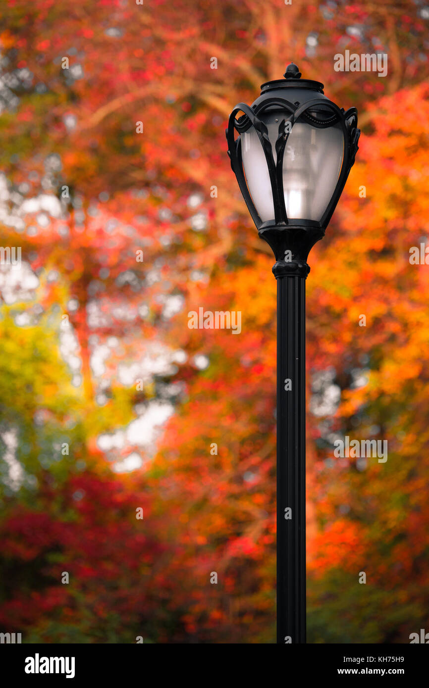 Leaf lamppost background hi-res stock photography and images - Alamy