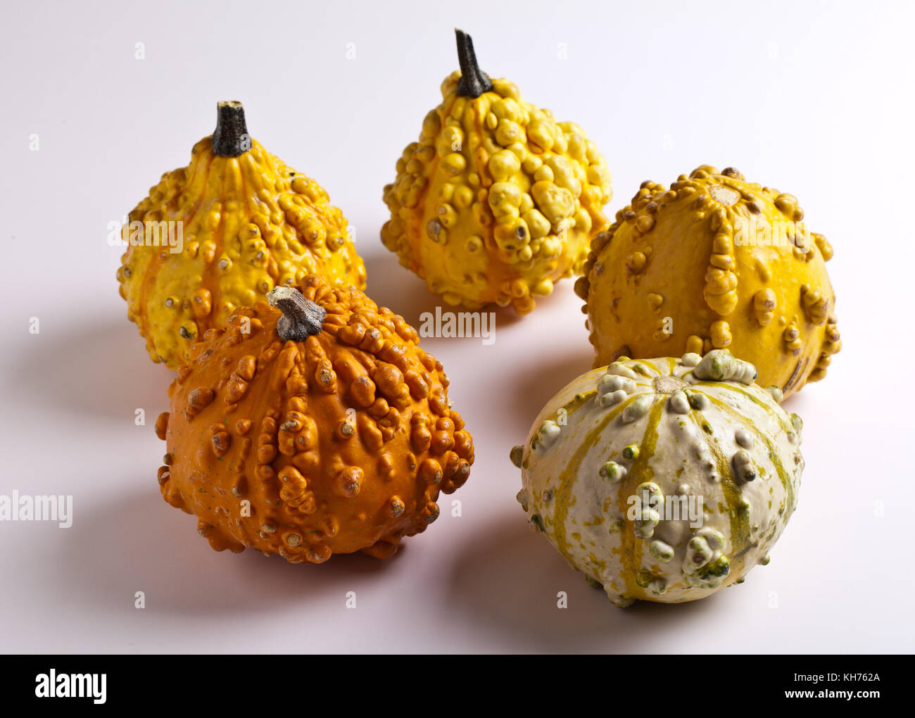 Five Decorative Gourds on a White Background Stock Photo - Alamy