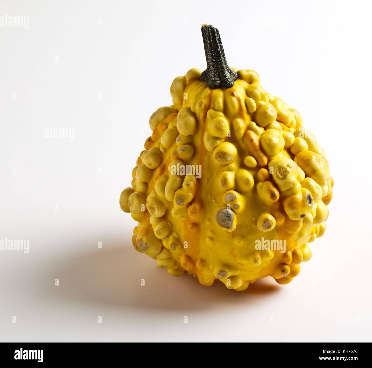 One Decorative Gourd on a White Background Stock Photo - Alamy