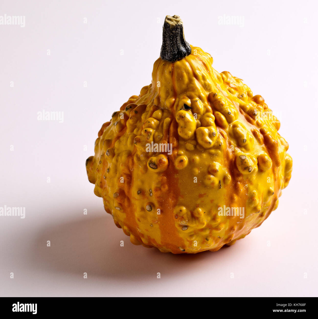 One Decorative Gourd on a White Background Stock Photo - Alamy