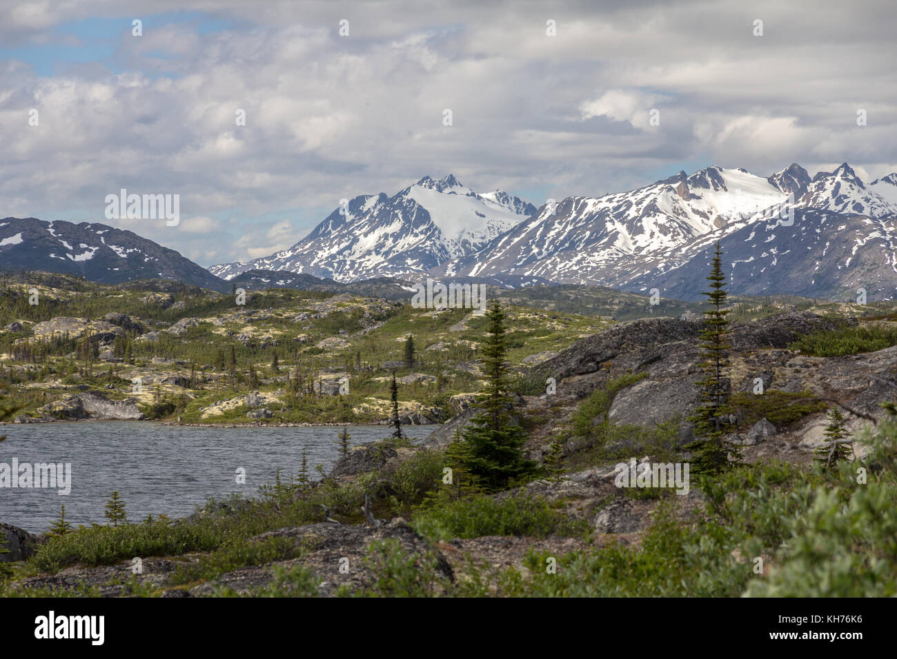 Jagged, snow-covered mountains and a tundra landscape of stunted ...