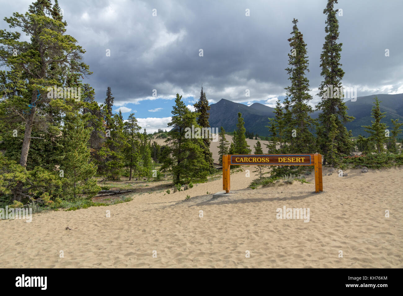 Sign for Carcross Desert set in a sandy area surrounded by conifer ...