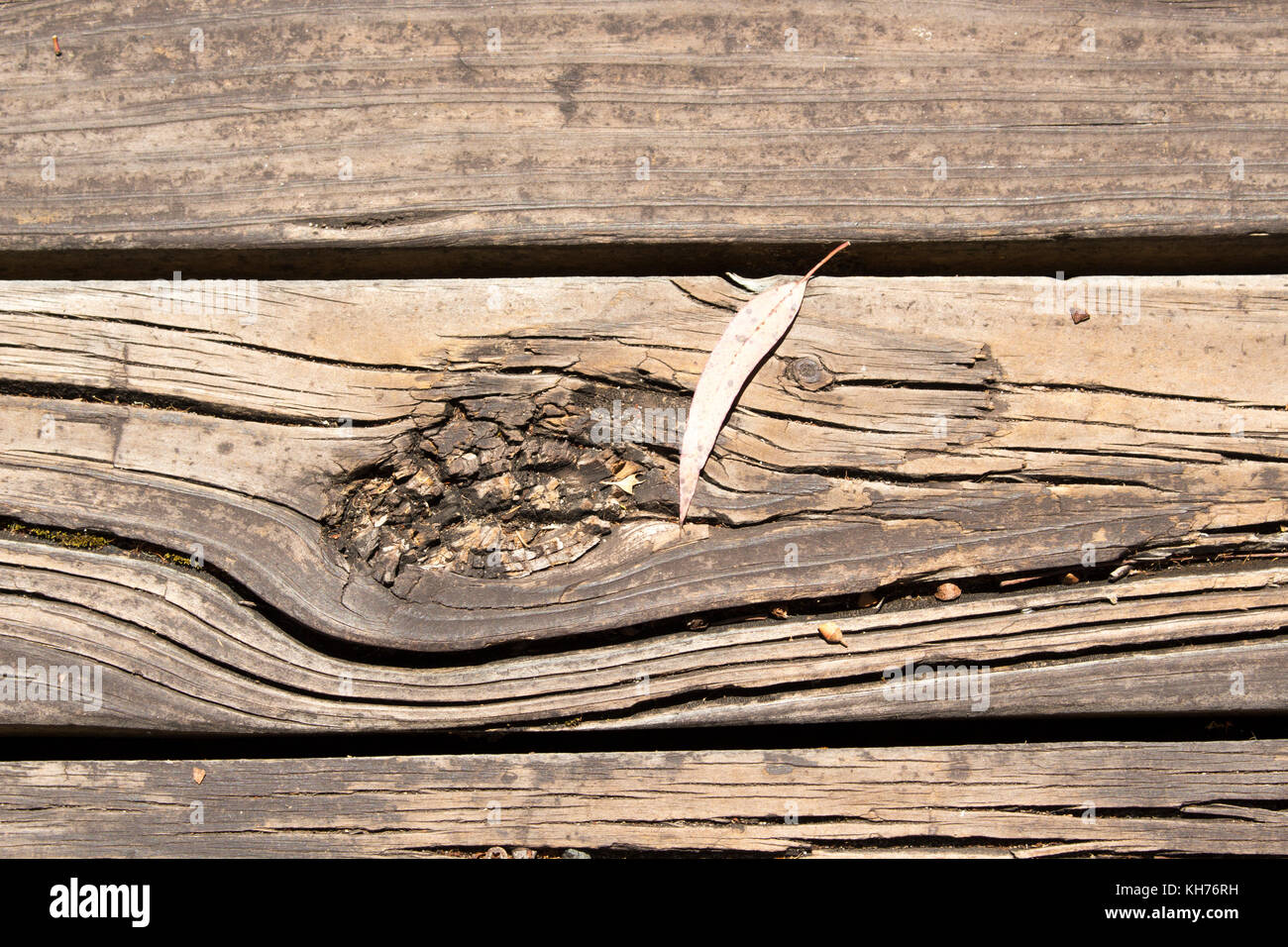 Wood Splinters