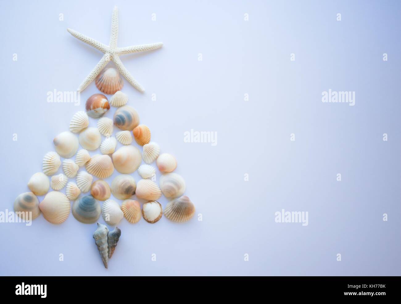 Christmas tree made from sea shells Stock Photo - Alamy