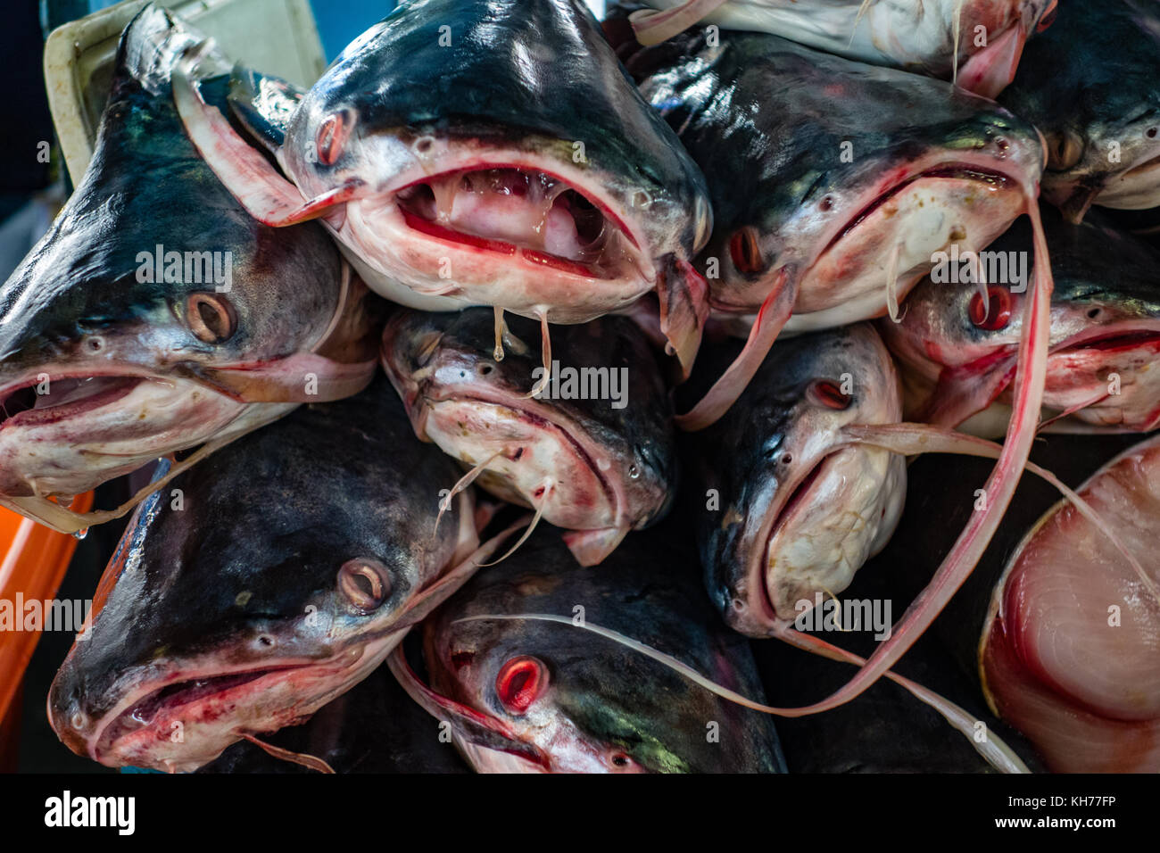 Stack of Fish For Sale at Local Market in Cuenca, Ecuador Stock Photo ...